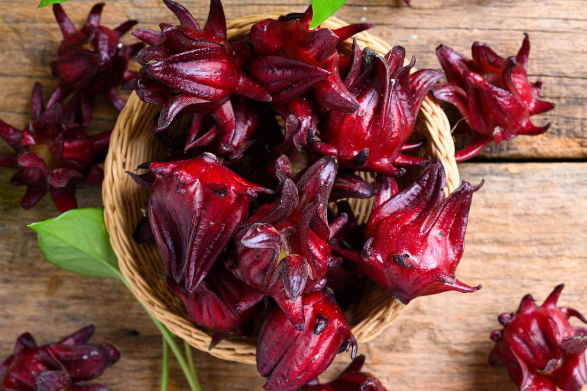 Roselle Growing Guide – HOSS