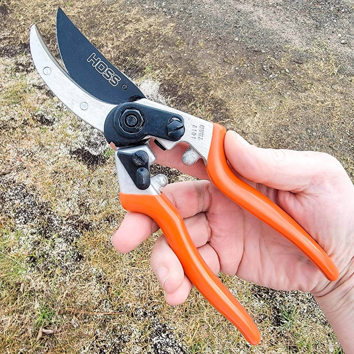 Pruning Tools – HOSS
