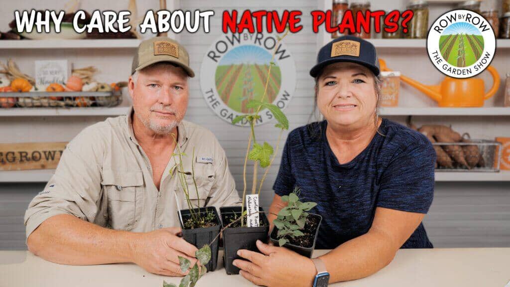 Row by Row Episode 224: Importance of Native Plants – HOSS