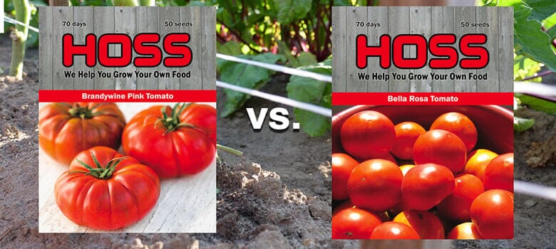 Row by Row Episode 37: Hybrid vs. Heirloom Seeds - Which is Better? – HOSS