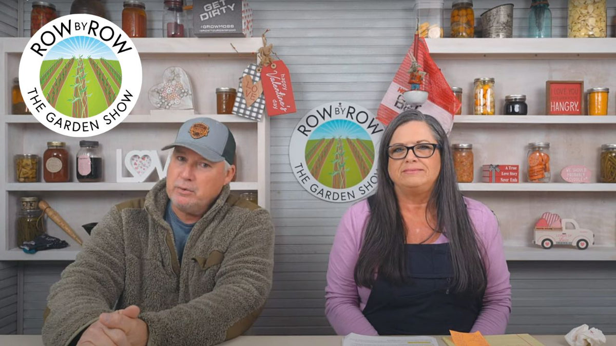 NEW SEEDS ALERT FOR 2024! – HOSS