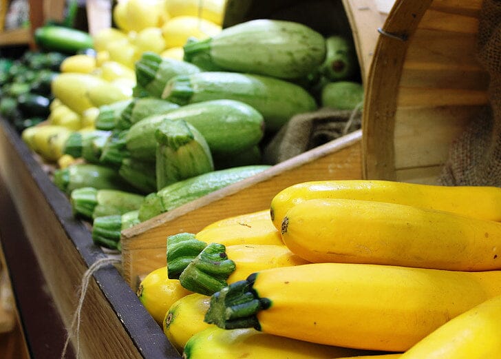 Summer Squash Growing Guide – HOSS