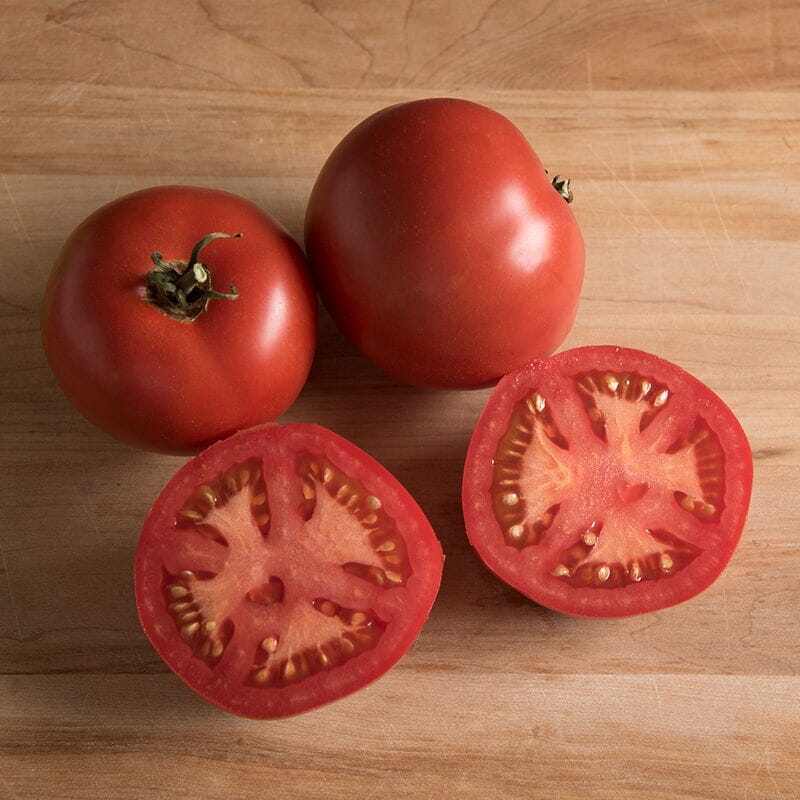 How To Grow Tomatoes From Seed – HOSS