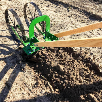 Monogerm vs. Multigerm Beet Seeds in the Garden – HOSS