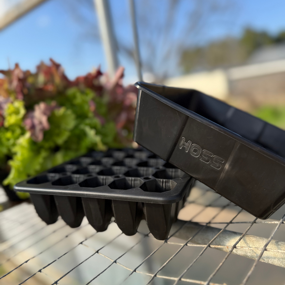 25 Cell Seed Starting Tray – HOSS