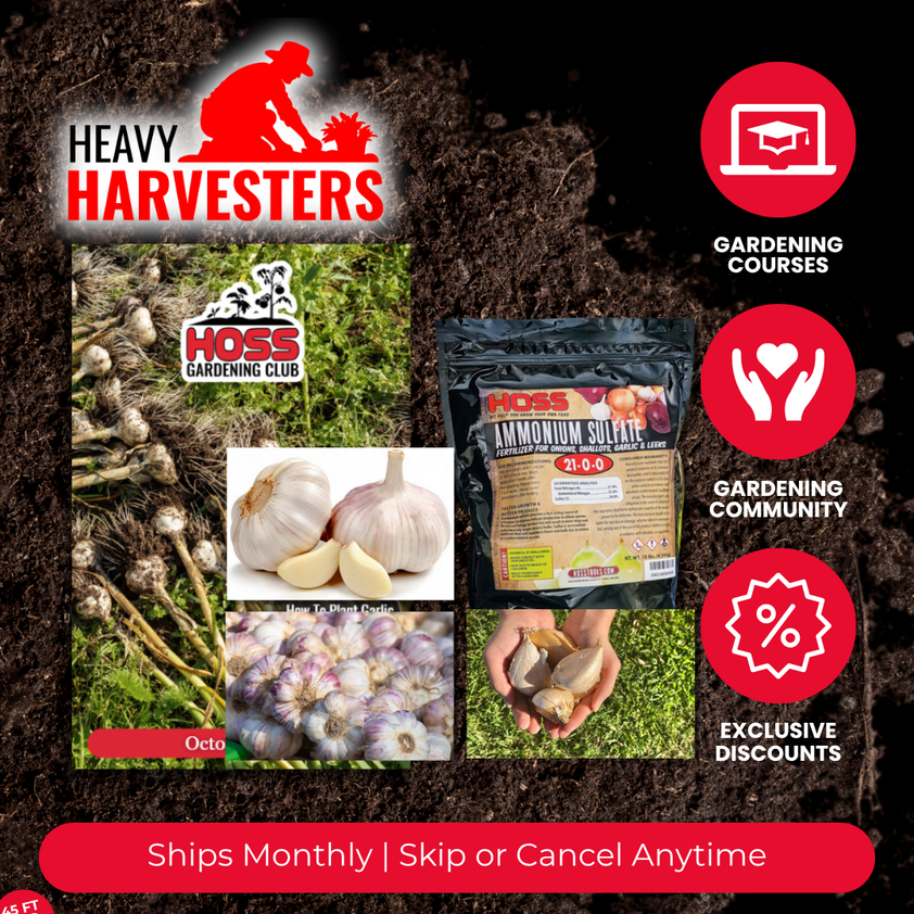 GrowHoss: Premium Garden Tools, Seeds & Supplies for Every Gardener – HOSS