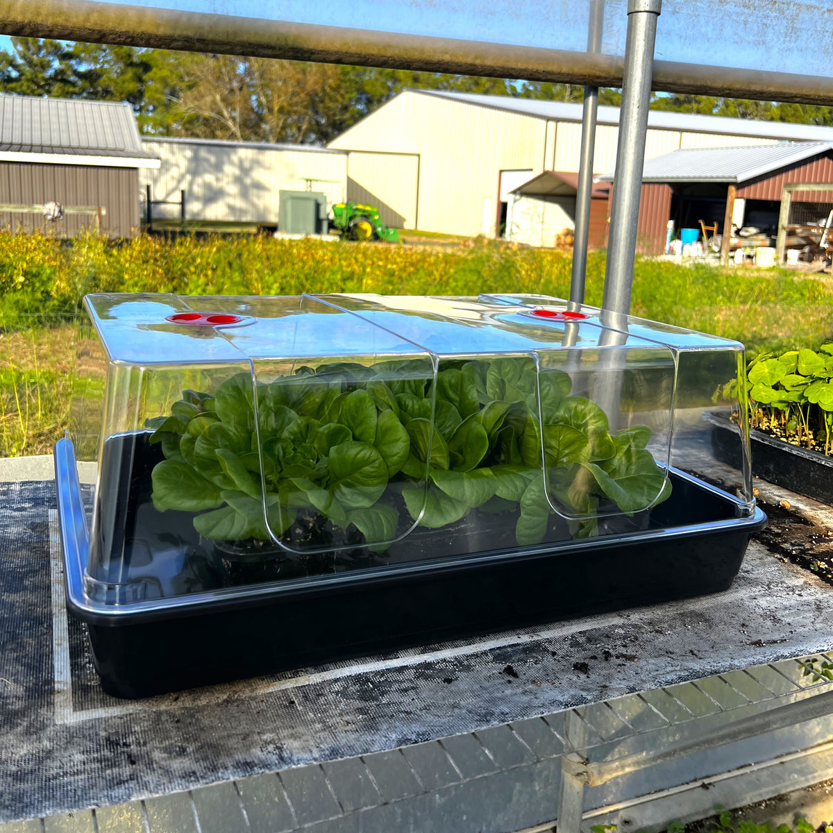 Deluxe Seed Starting Kit – HOSS