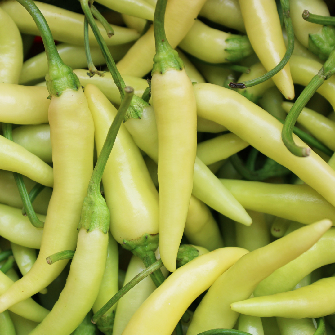 Hossinator Banana Hybrid Pepper – HOSS