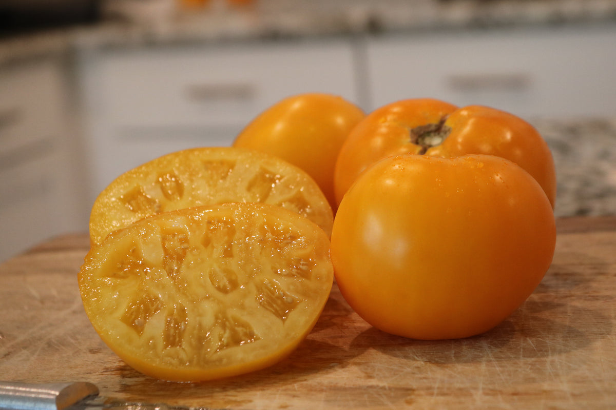 Lemon Boy Plus Hybrid Tomato F1 – HOSS
