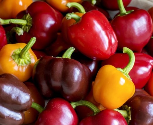 Mini Bell Pepper Mix – HOSS