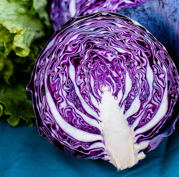 Cabbage Growing Guide – HOSS