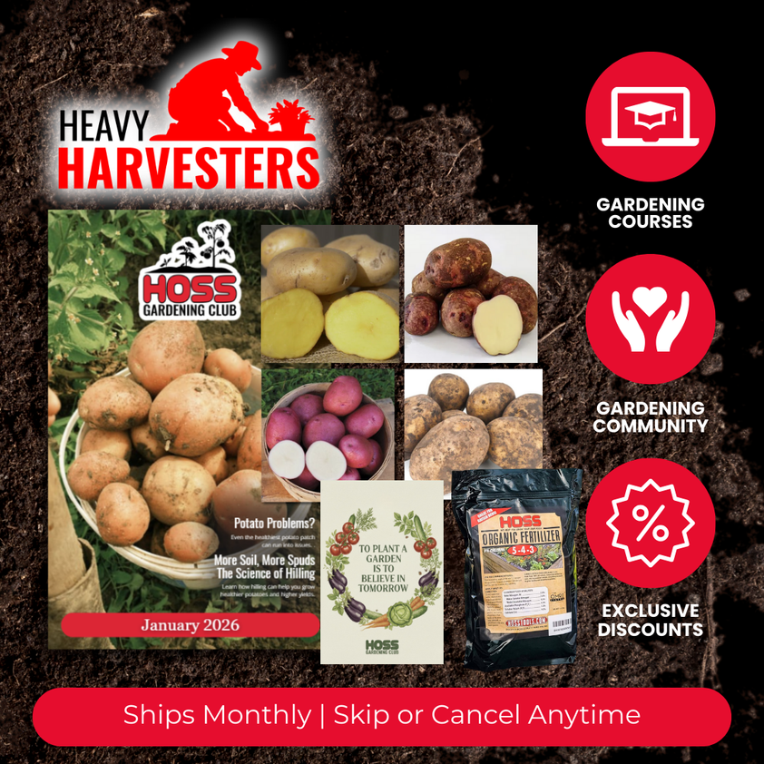 GrowHoss: Premium Garden Tools, Seeds & Supplies for Every Gardener – HOSS