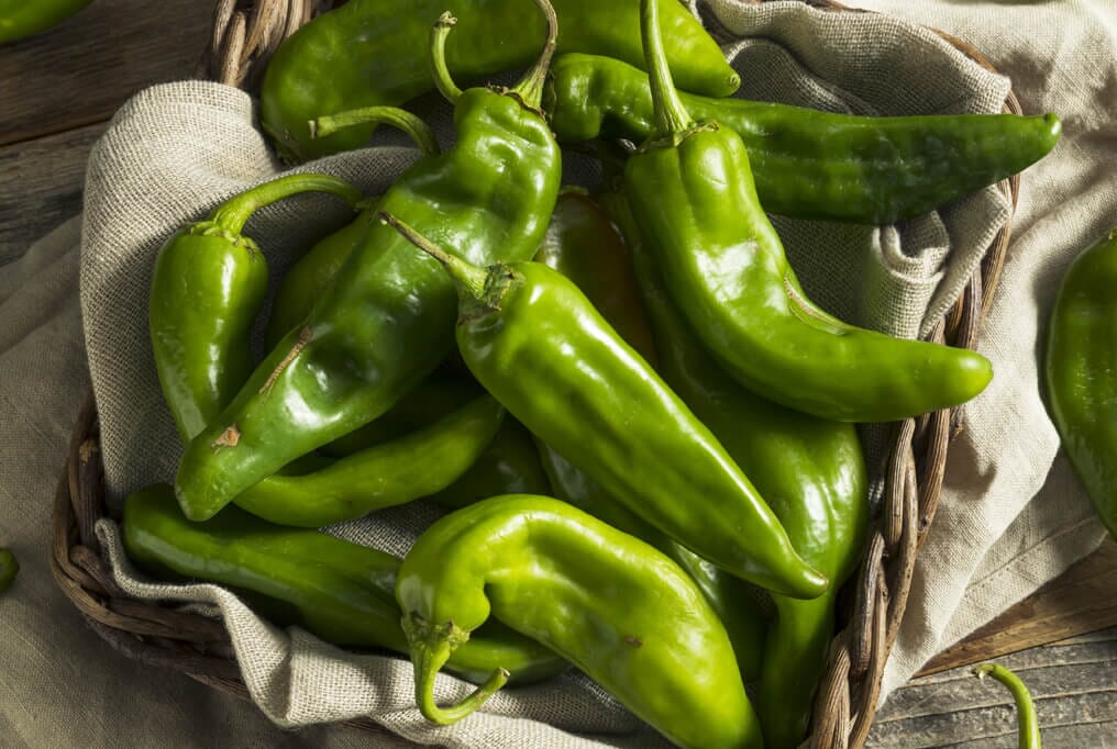 Anaheim Pepper | Spicy, tangy and Versatile | Grow Hoss – HOSS