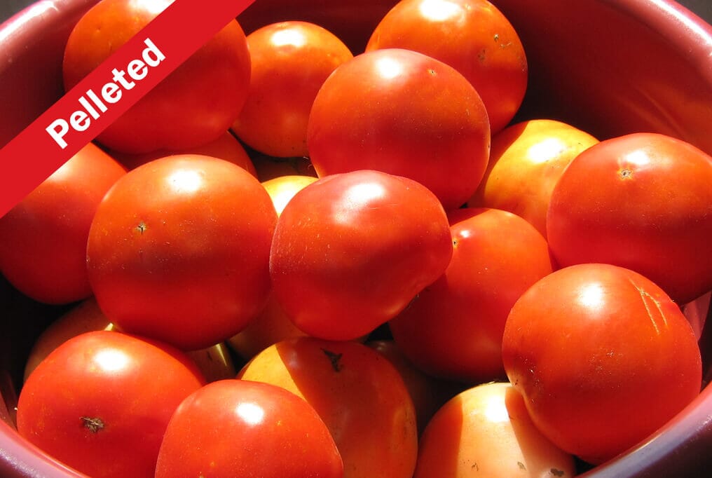 Bella Rosa Tomato | Rich and real Flavor | GrowHoss – HOSS