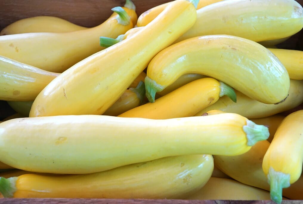 Goldprize Hybrid Squash F1 – HOSS