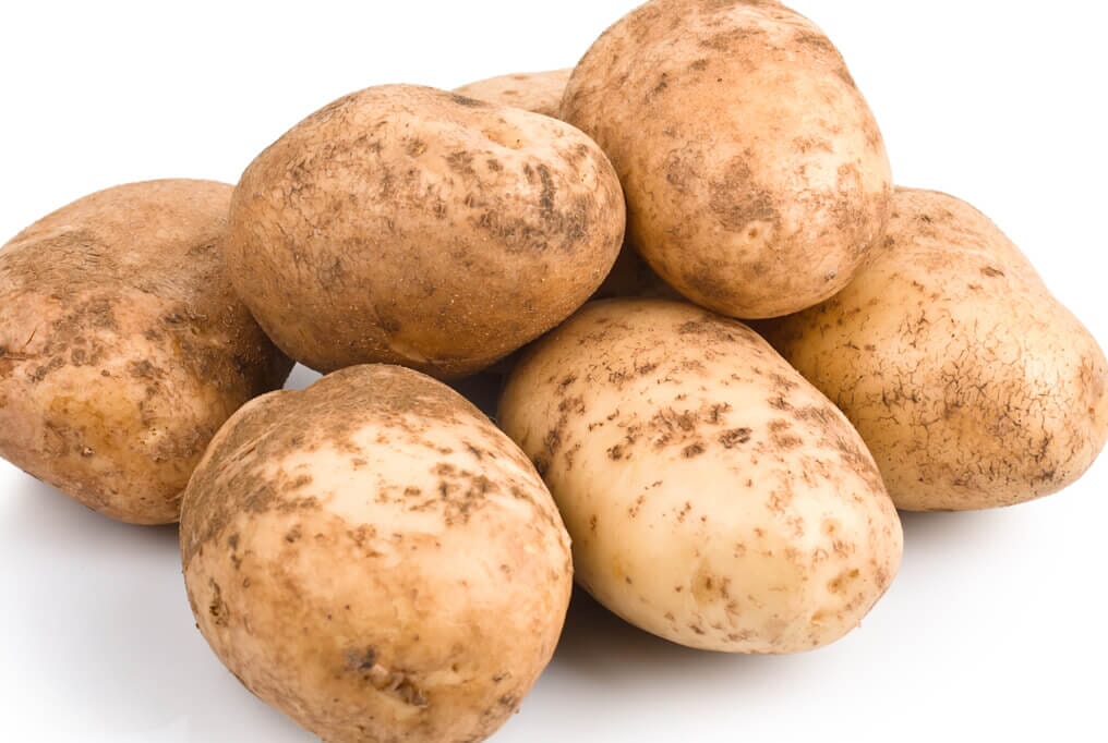Kennebec White Potato – HOSS