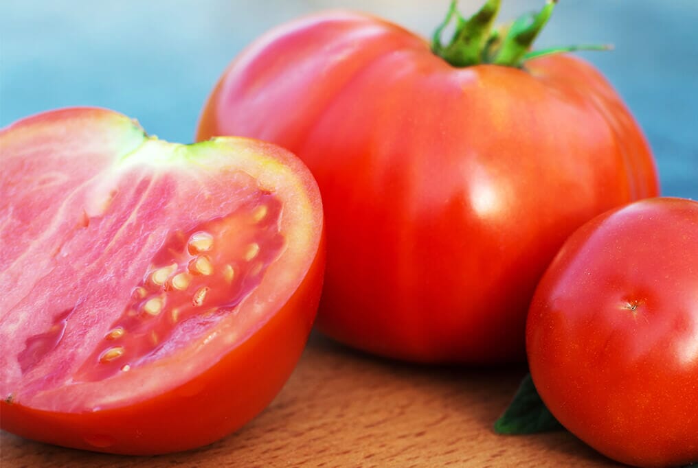 Rutgers Tomato – HOSS