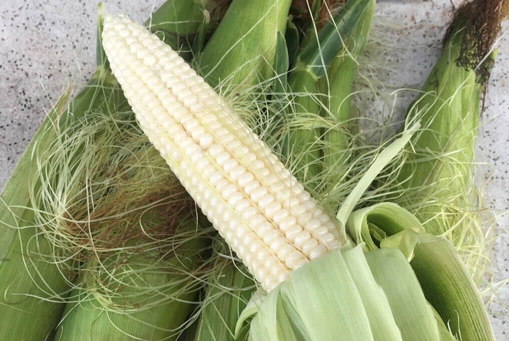 Silver Queen Corn | Fresh, sweet and tasty | GrowHoss – HOSS