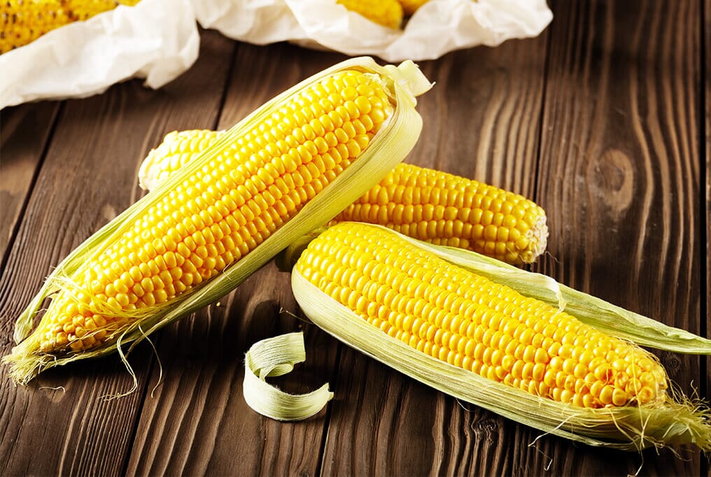 Sugar Buns Hybrid Sweet Corn F1 – HOSS